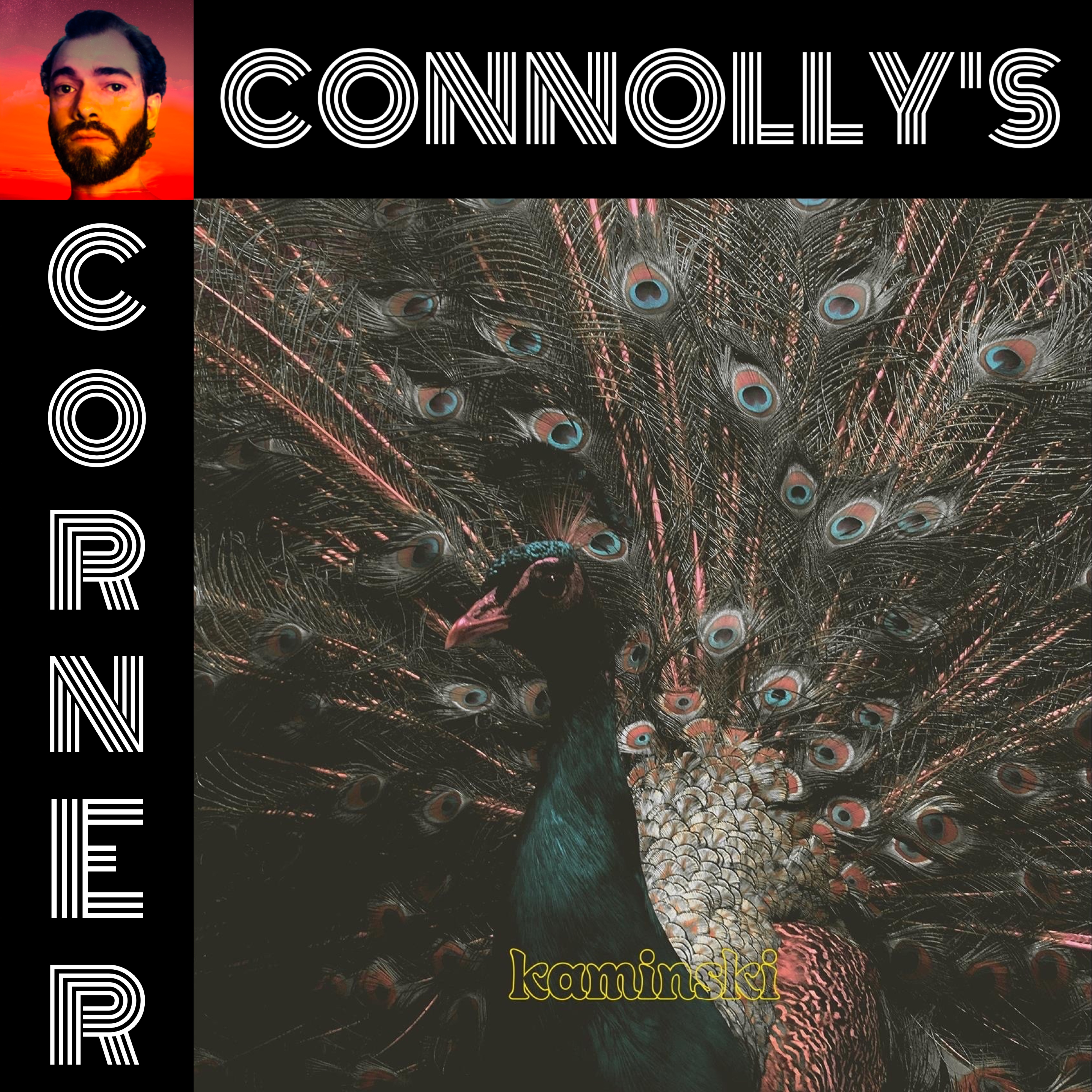 𝗖𝗼𝗻𝗻𝗼𝗹𝗹𝘆’𝘀 𝗖𝗼𝗿𝗻𝗲𝗿 – this week: Hands – Kaminski – New Artist Spotlight